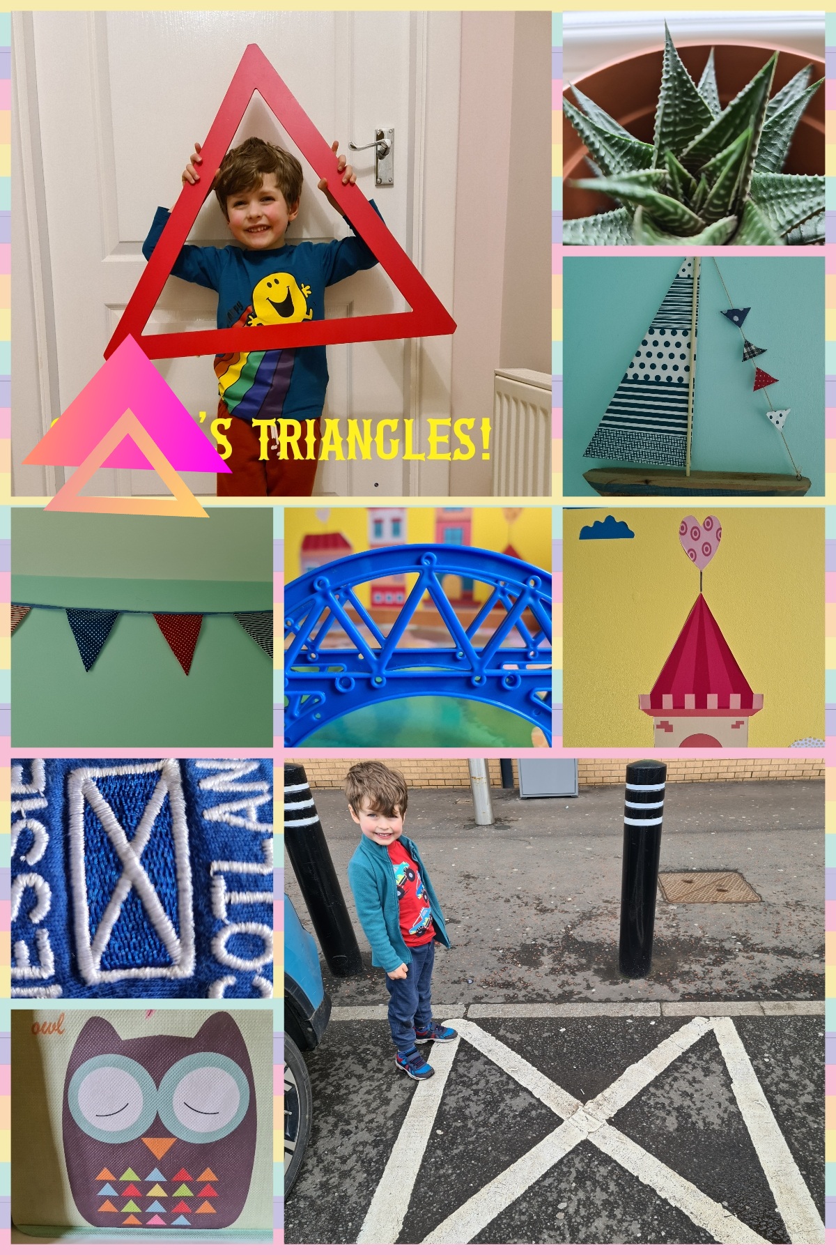 Mission Triangle | Clarence House Nursery