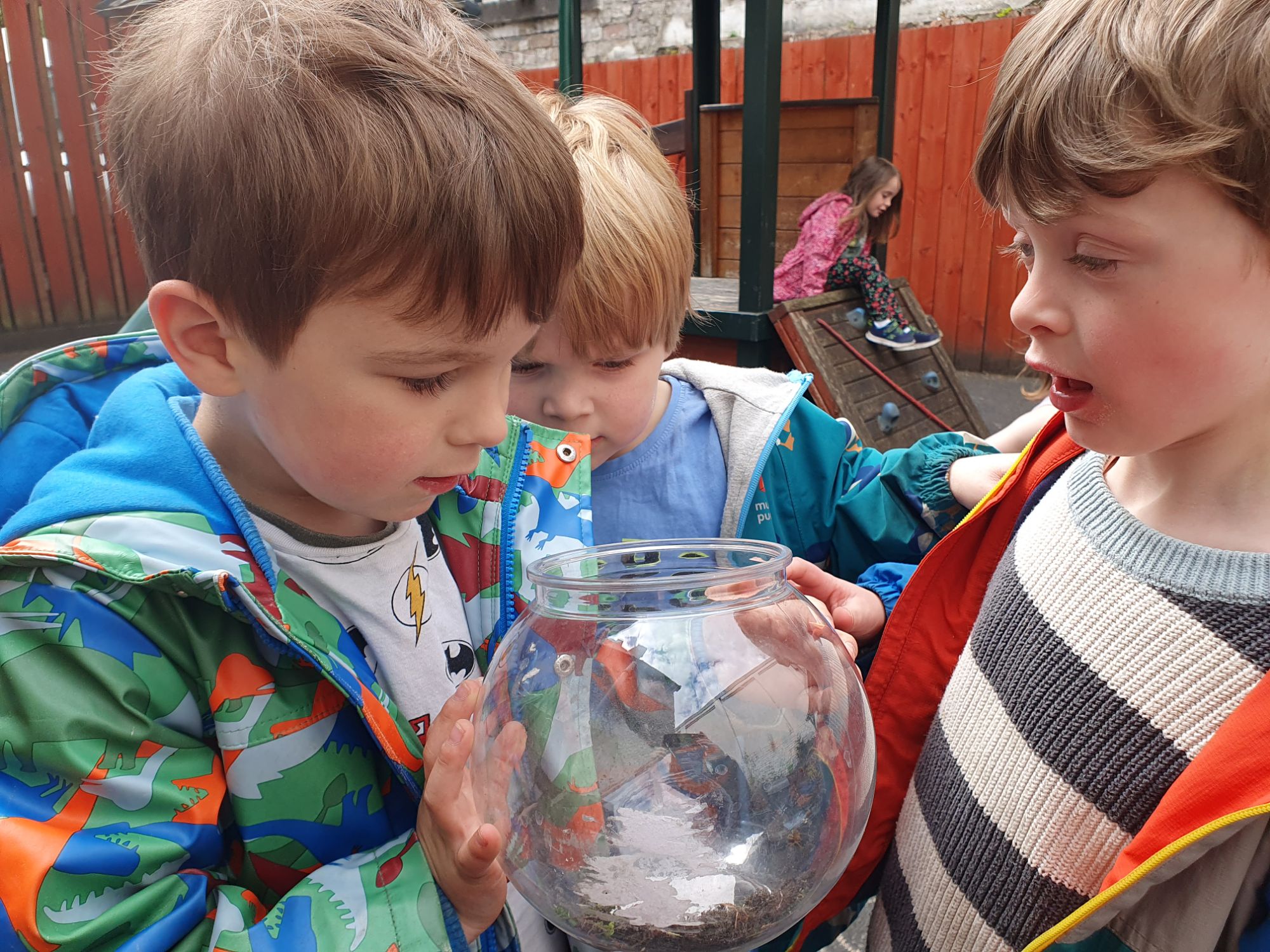 Spider Hotel | Clarence House Nursery